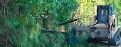 Limb Beaver - Skidsteer Trimmer Attachment